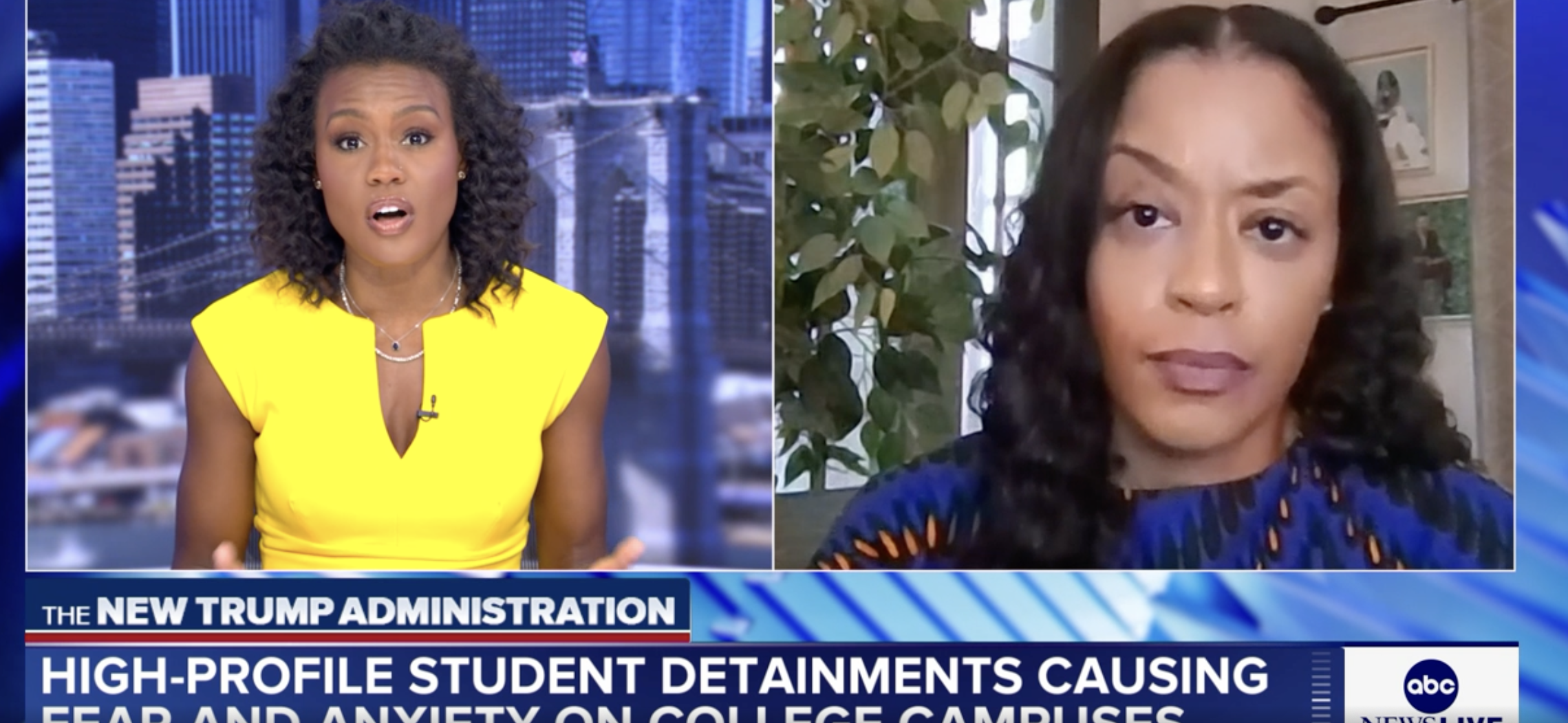 journalist and professor Nicole Carr breaks down how recent Trump ...